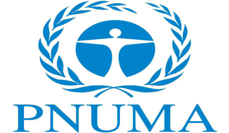 Programa da ONU para o Meio Ambiente lança novo portal no Brasil